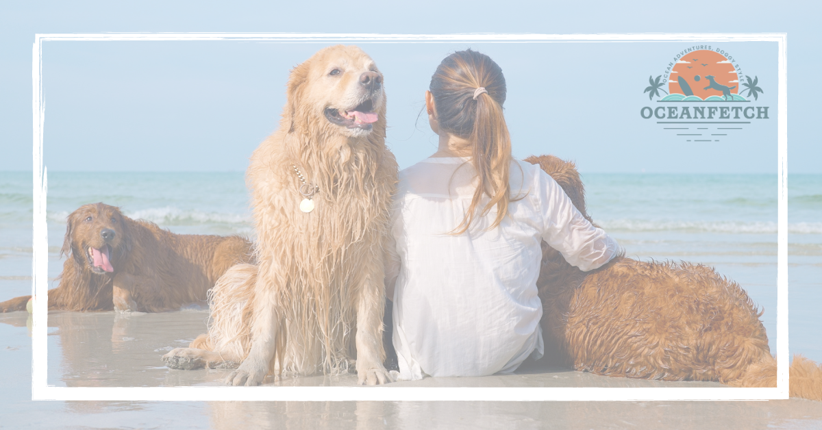 Collections – OCEANFETCH